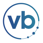 Team | VB Risk Advisory